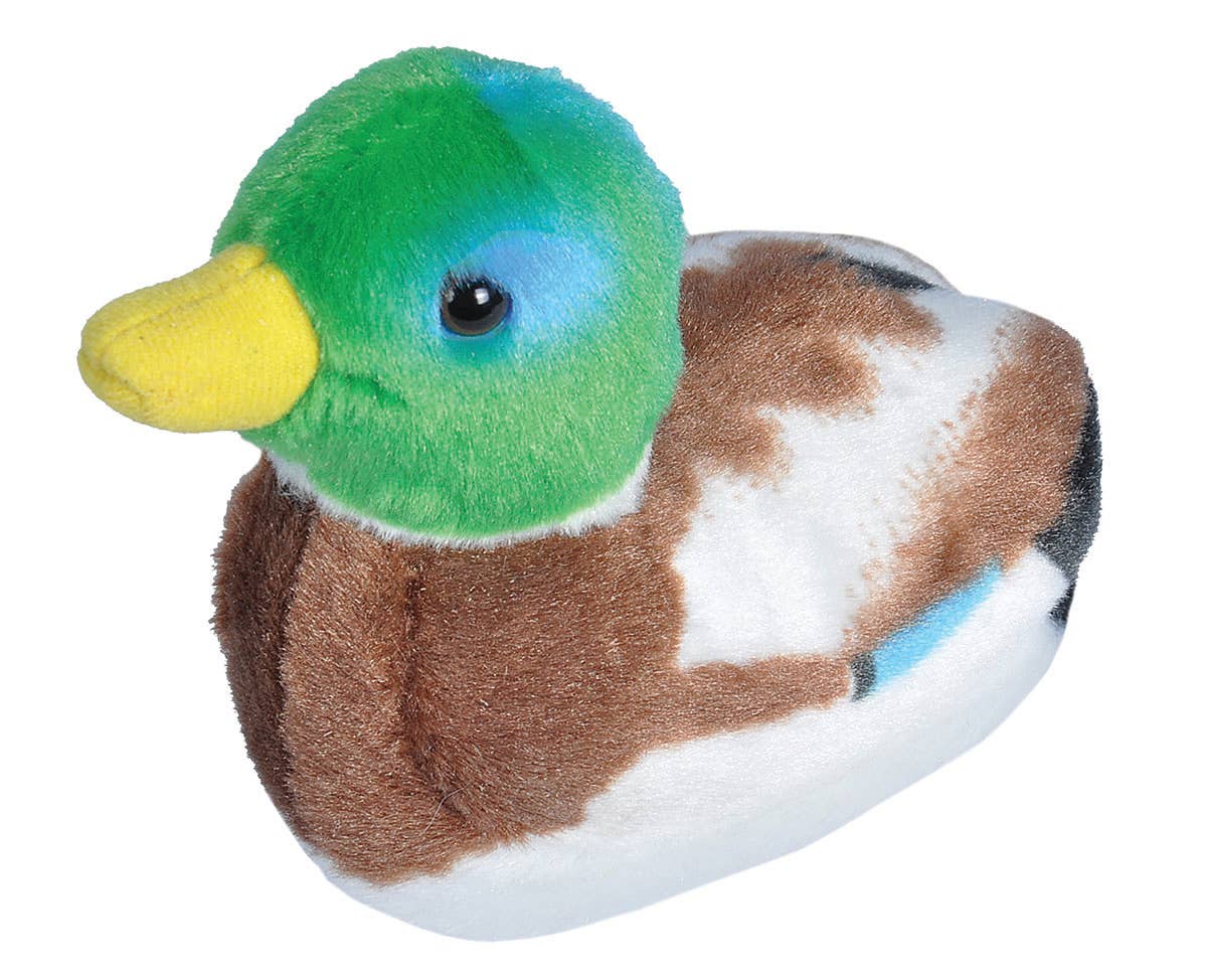 Audubon II Mallard Duck Stuffed Animal W Sound 5.5" – Birds Connect Seattle