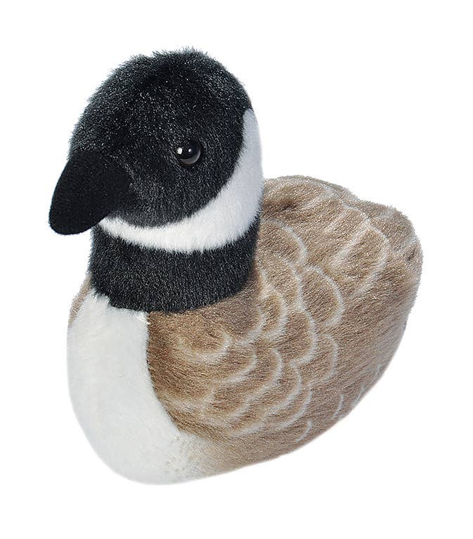 Audubon II Canada Goose Stuffed Animal W Sound 5.5" – Birds Connect Seattle